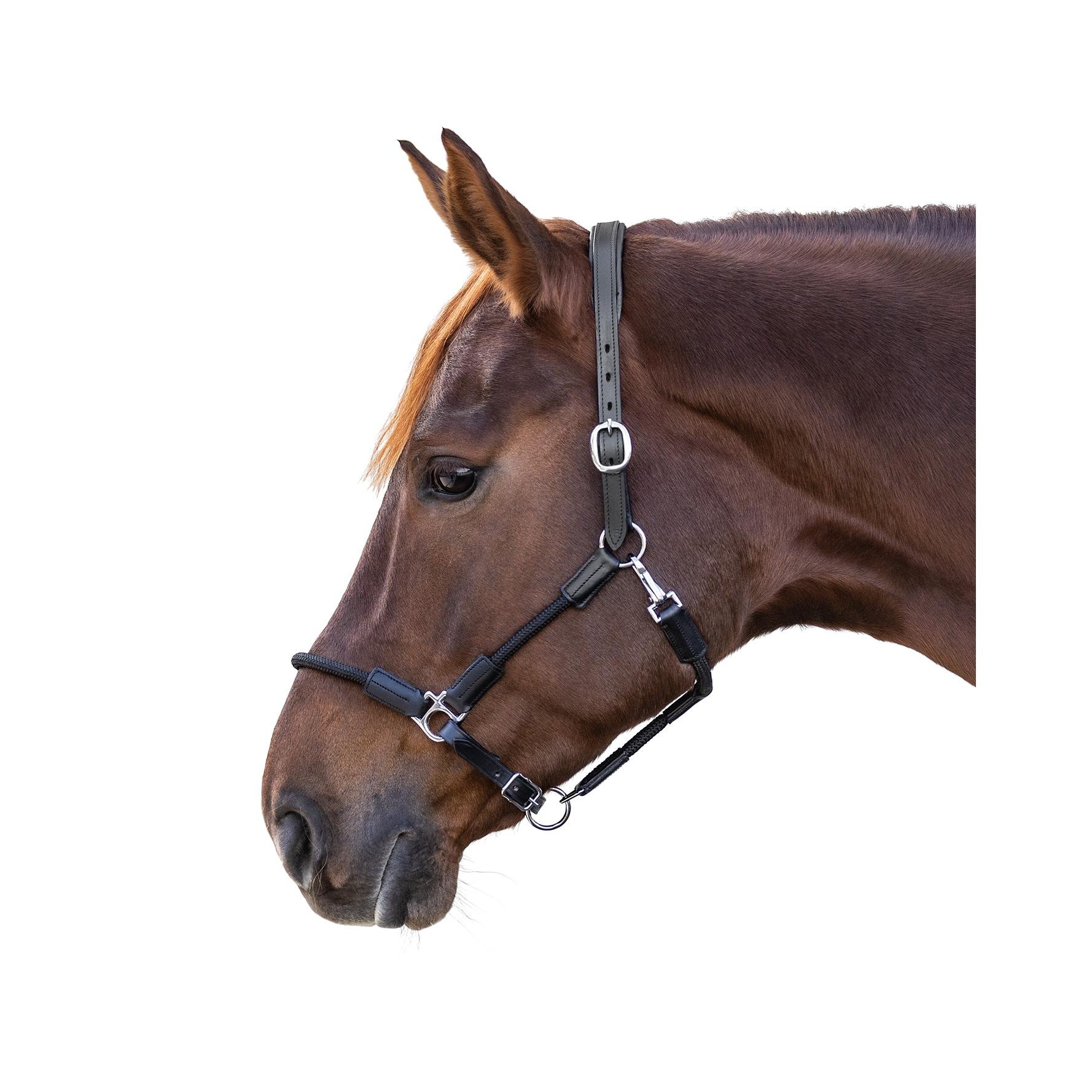 X-Line Lederhalfter X-Line Nevada - Schwarz/Silber