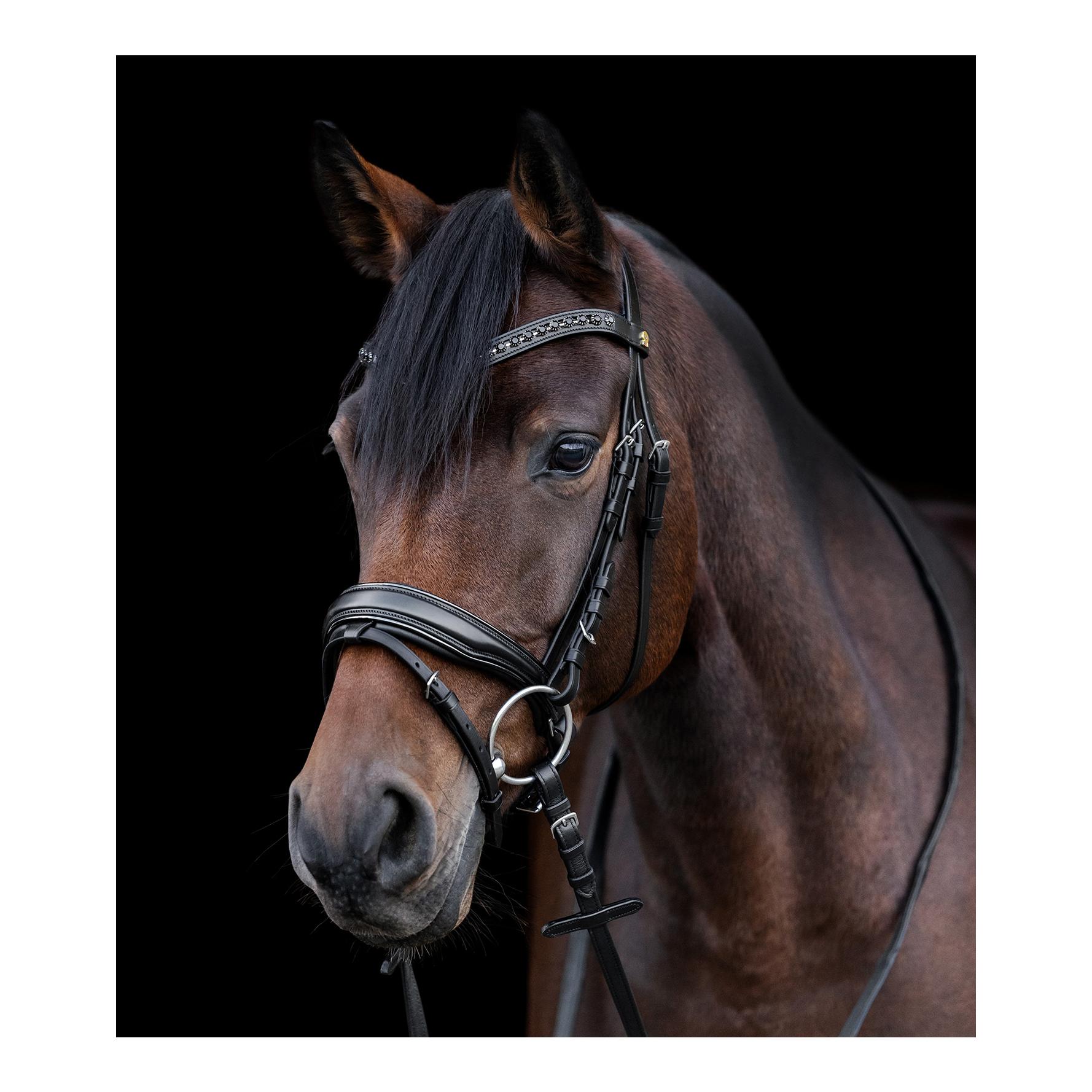 X-Line Waldhausen S-Line Trensenzaum Blackshine - Noir